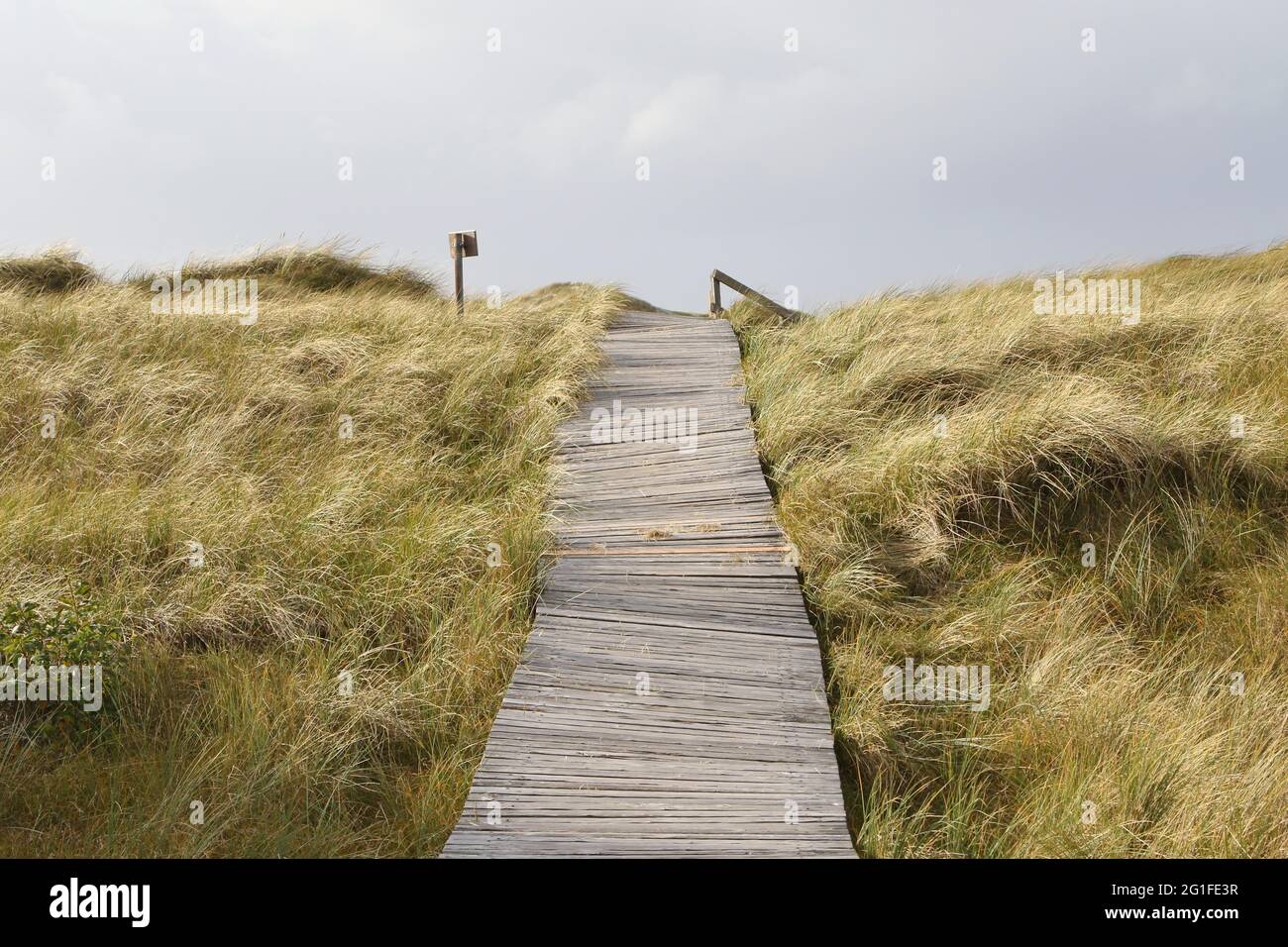 Boardwalk through dune landscape hi-res stock photography and images ...