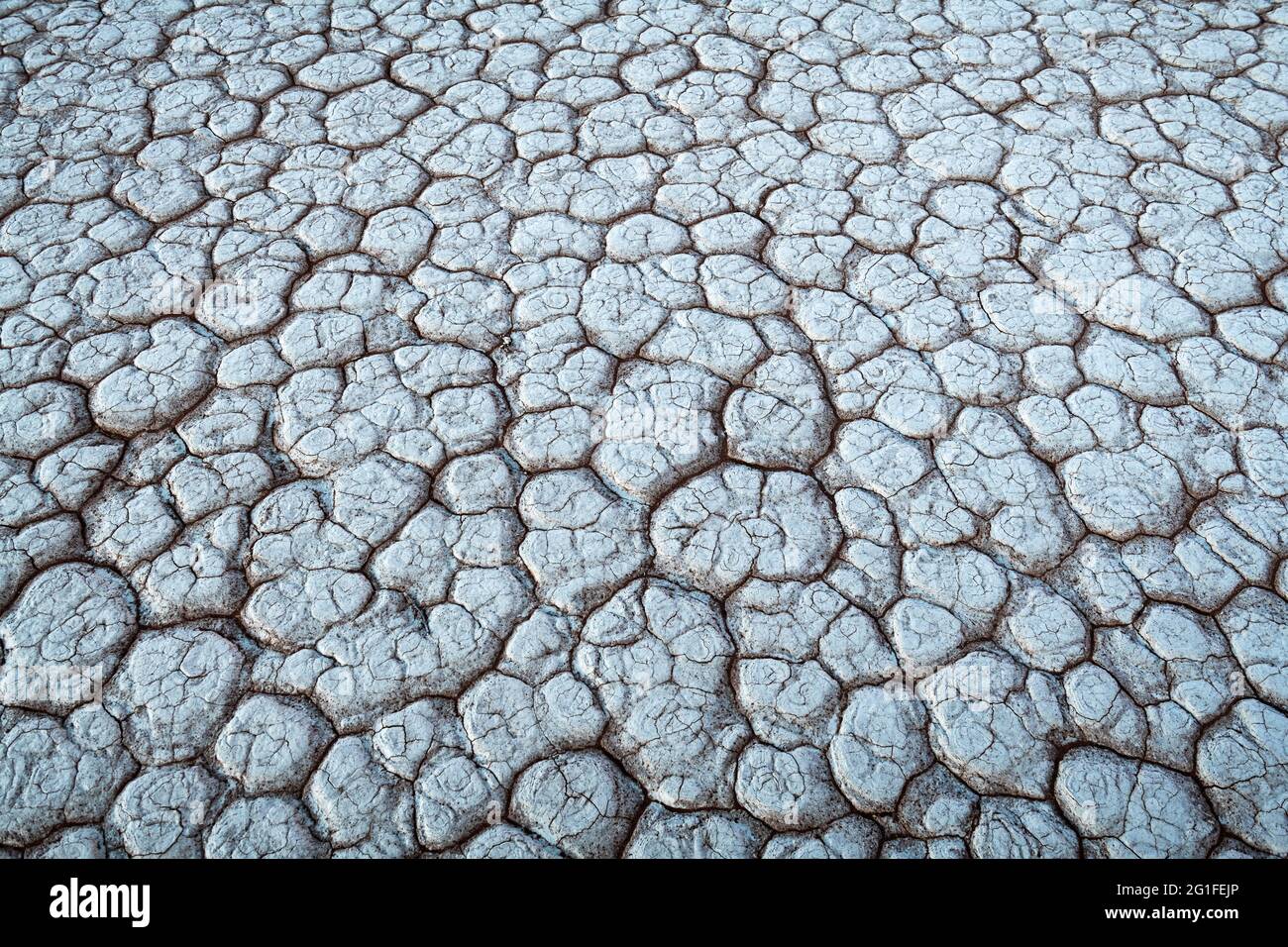Cracked land texture. Beautiful nature background for your project ...