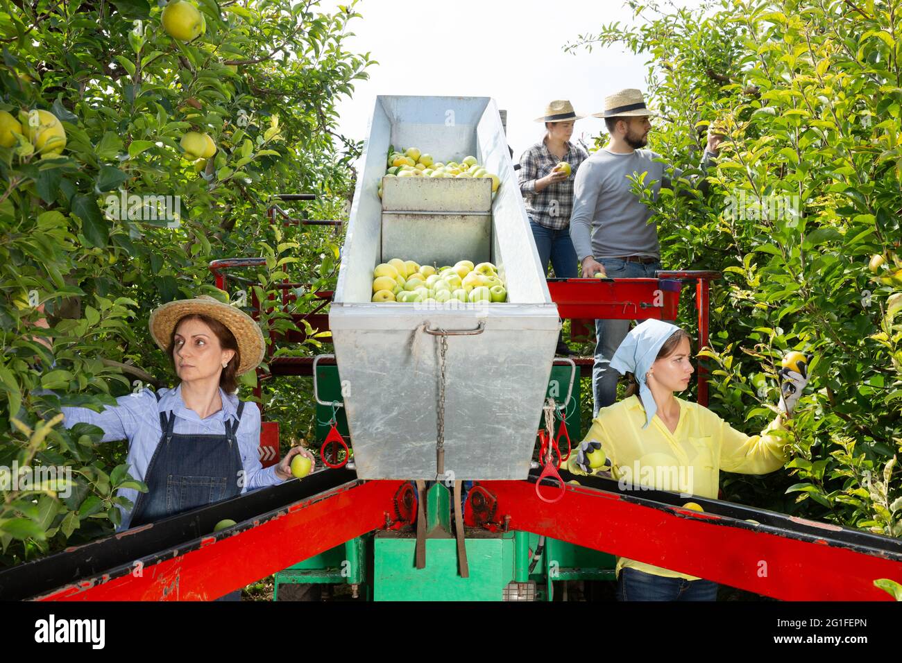 Apple Harvesting Machine High Resolution Stock Photography and Images ...