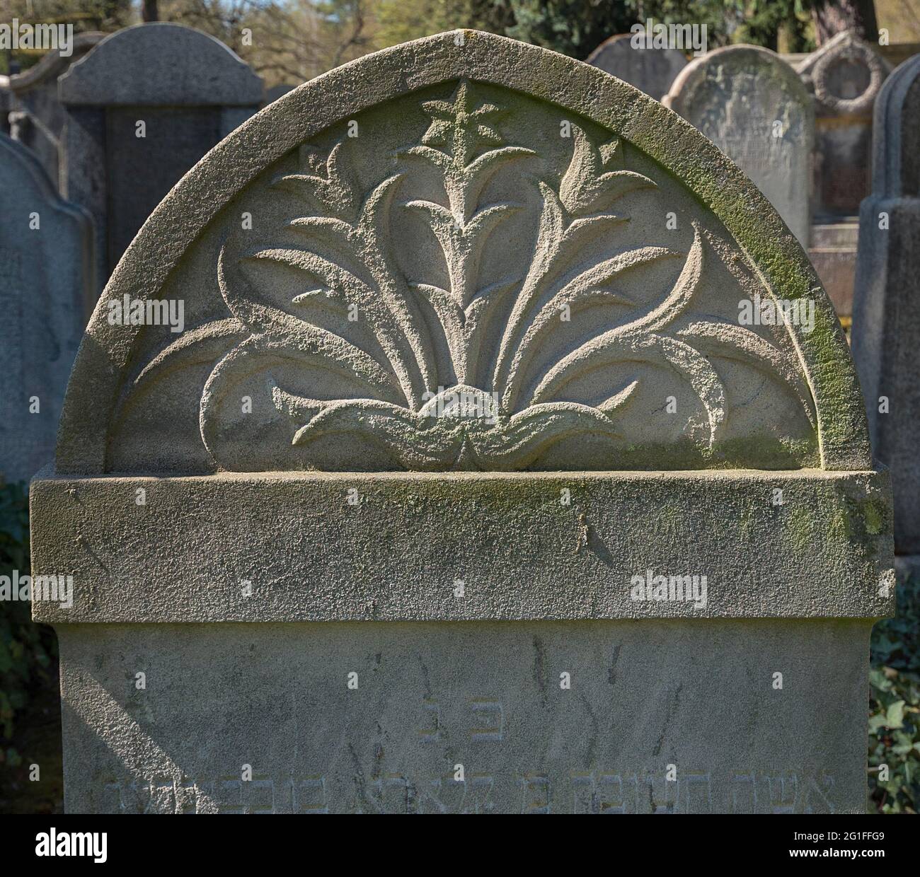 Lily relief on a Jewish gravestone, symbol of purity and innocence, New ...