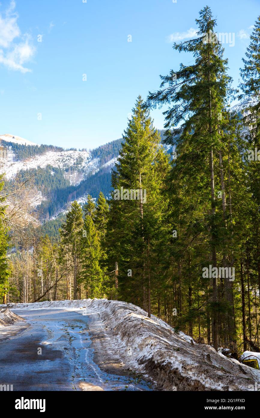 High Tatras mountains panorama with snow and forest Stock Photo - Alamy