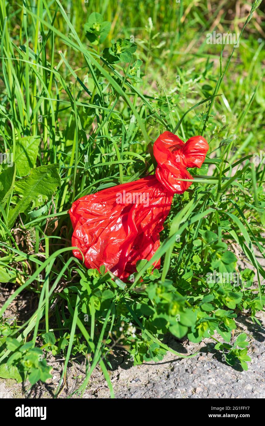 Dog excrement bag, Baden-Wuerttemberg, Germany Stock Photo - Alamy