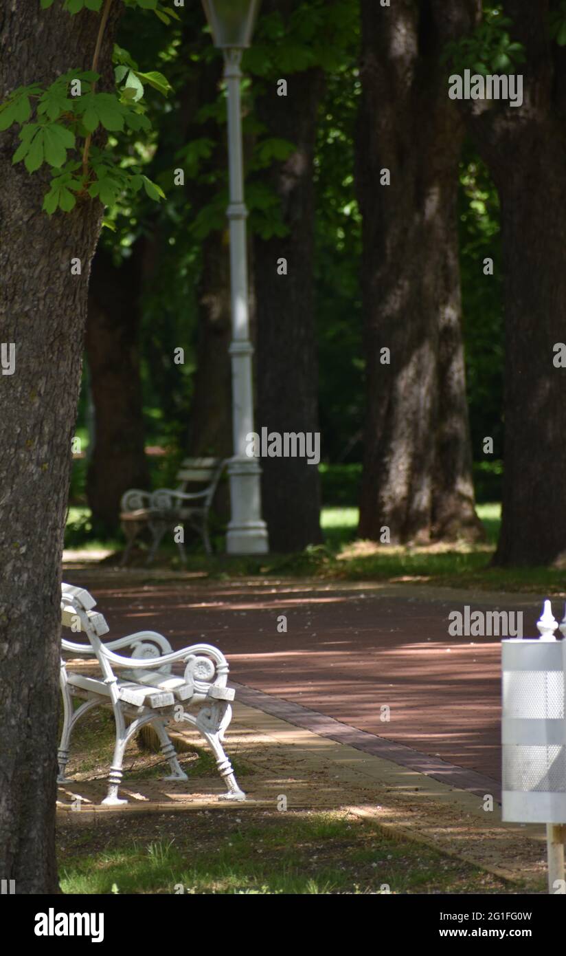 Beautiful shot bench in hi-res stock photography and images - Alamy