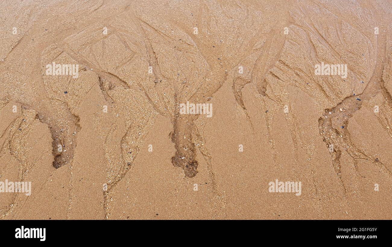 Patterns in sand, shaped by sea Stock Photo - Alamy