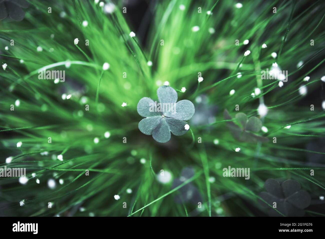 Nature background layout made hi-res stock photography and images - Alamy