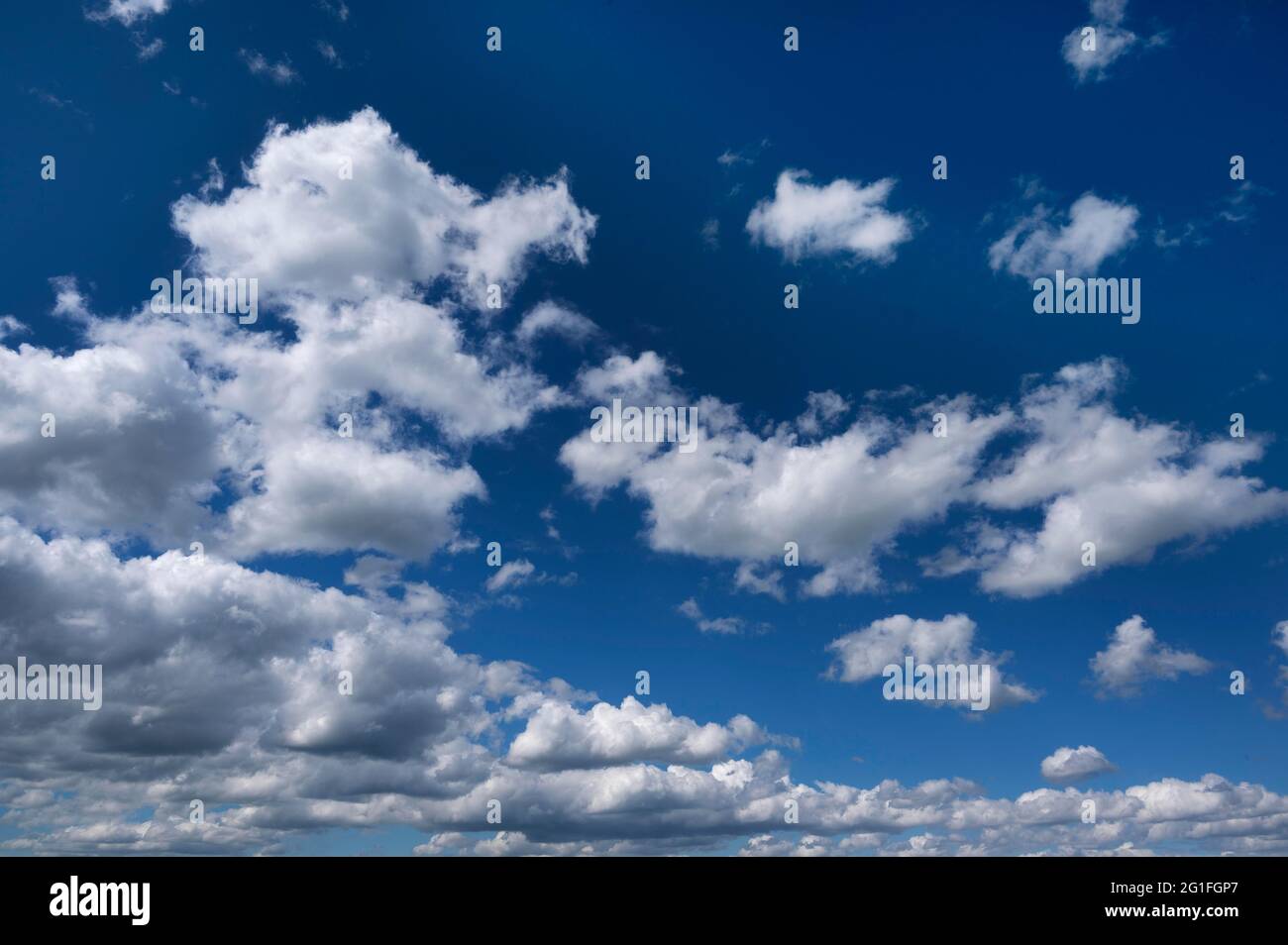 Cumulus clouds (Cumulus) clouds y Stock Photo - Alamy
