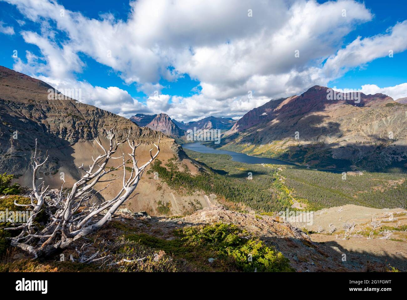 View of Two Medicine Lake with dead tree, hiking trail to Scenic Point ...
