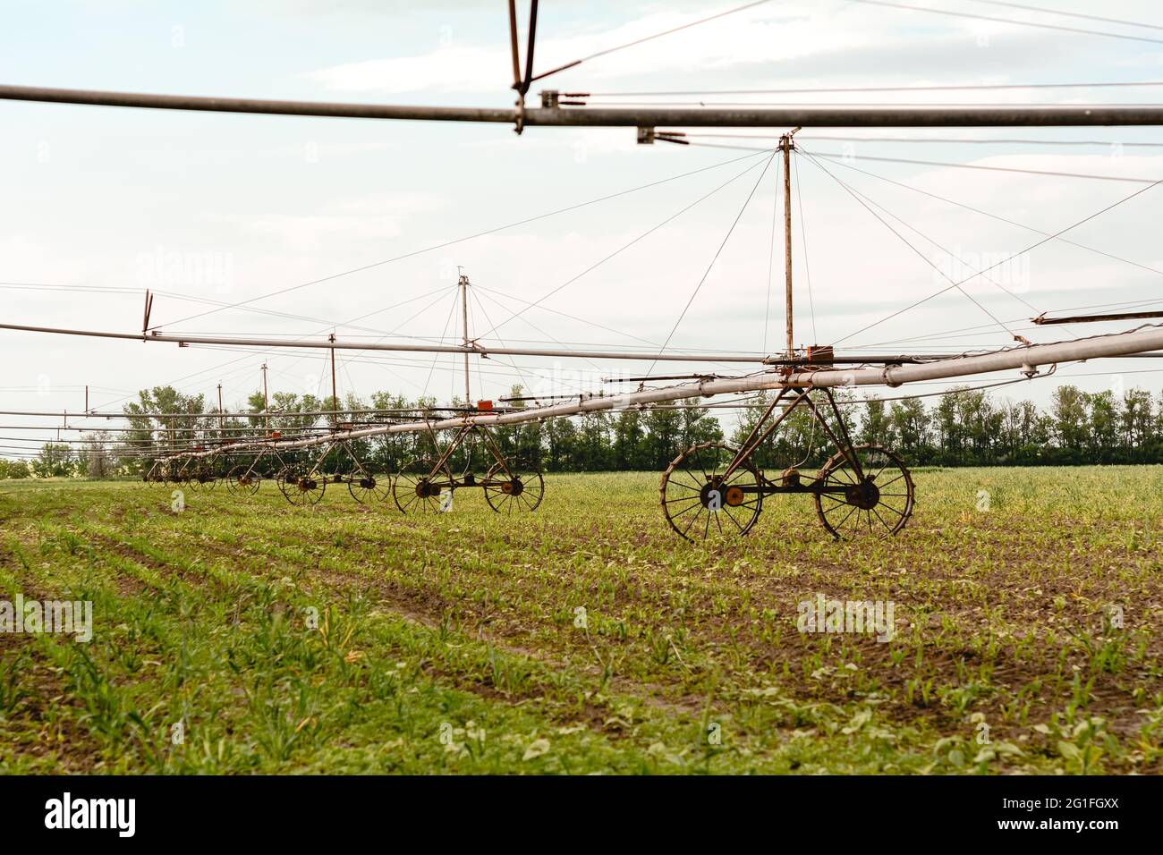 Field irrigation in agriculture. Agriculture, Pivot irrigation used to ...