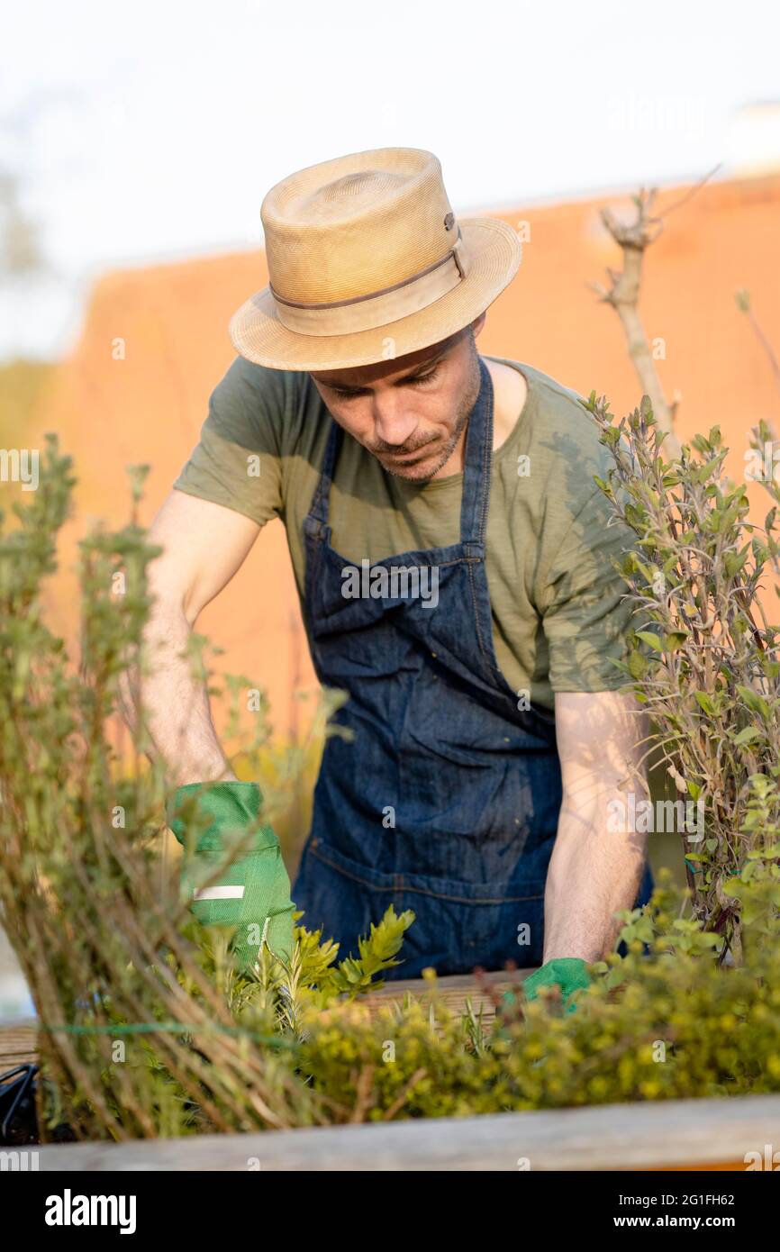 Gardener person hi-res stock photography and images - Alamy