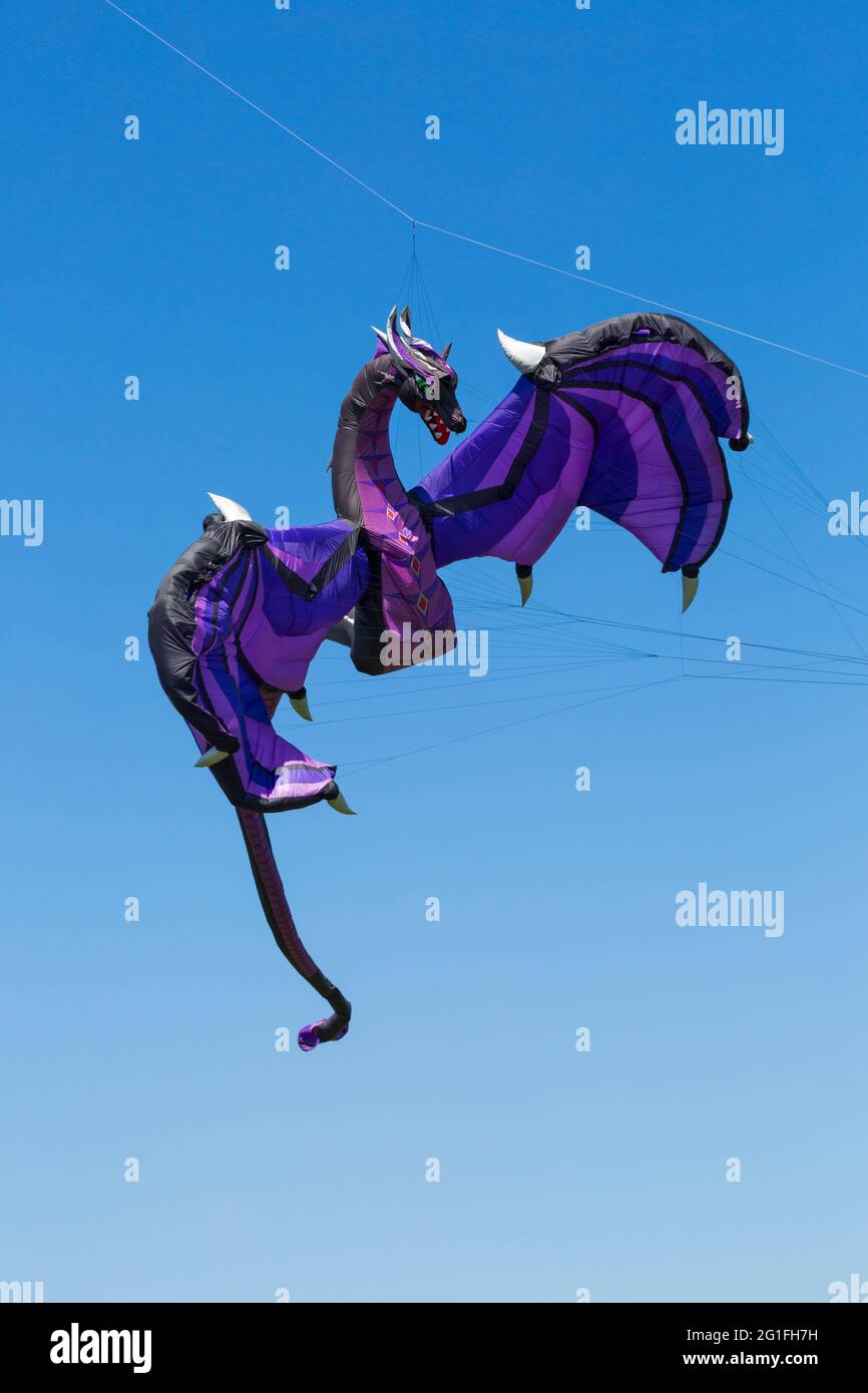 Dragon kite flying in the air against blue sky at Poole, Dorset UK in ...