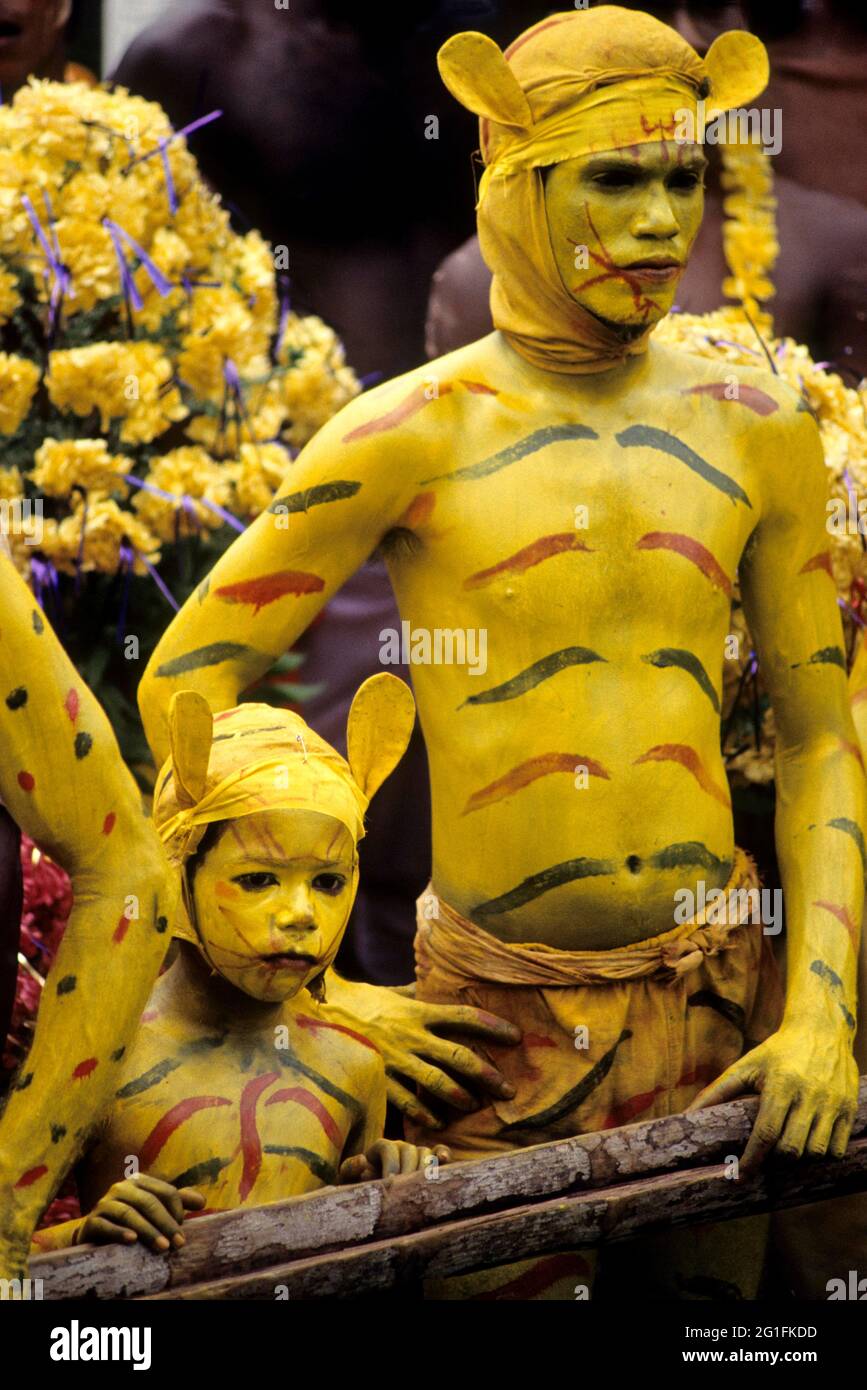 Pulikali (Tiger Dance) in Kerala, India Stock Photo - Alamy