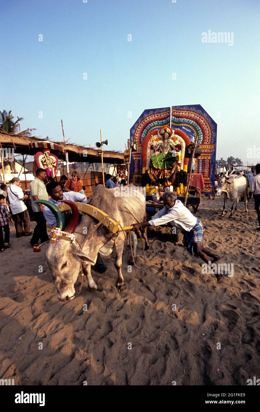 Gods taken procession in open bullock carts- Masi Magam festival at ...
