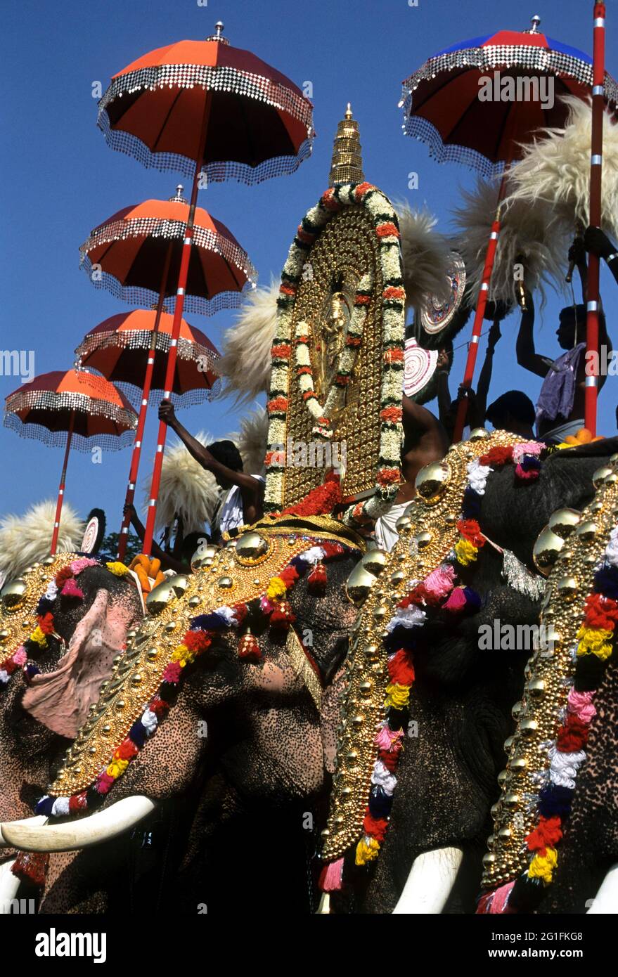 POORAM FESTIVAL, THRISSUR, KERALA Stock Photo - Alamy