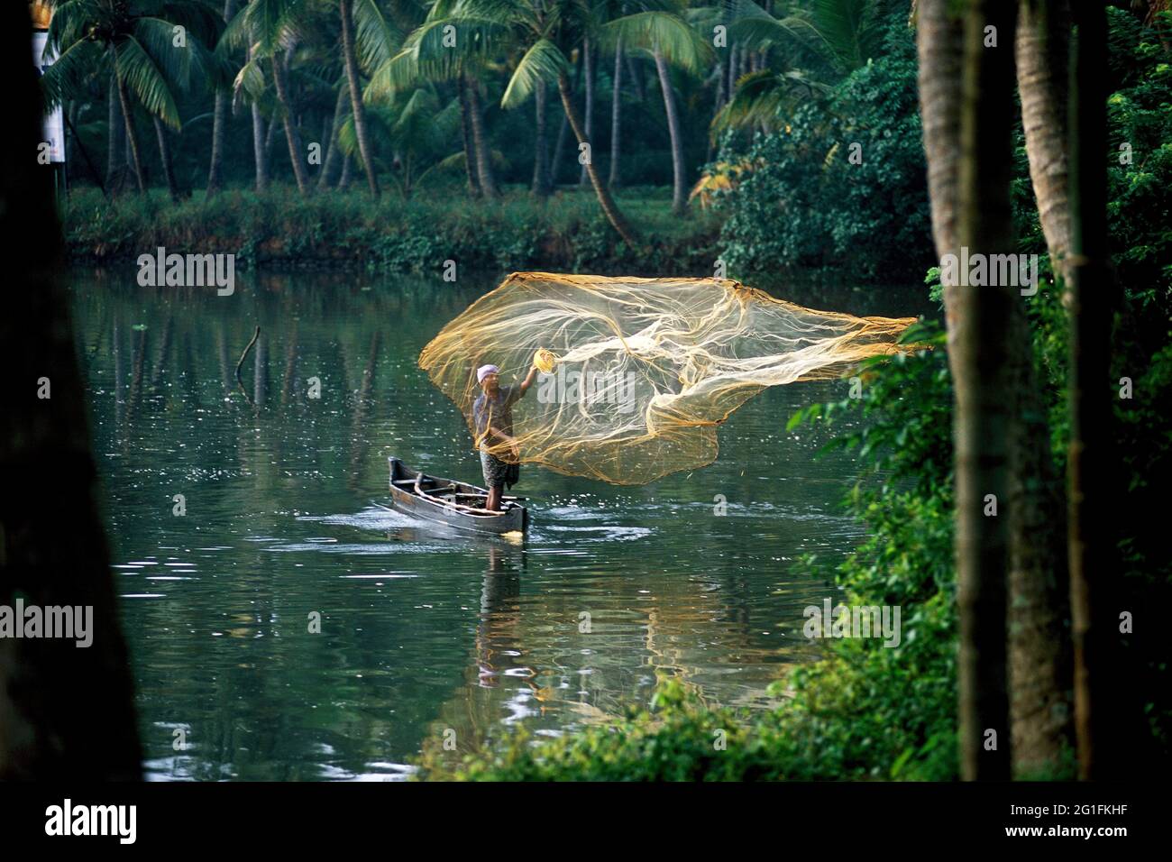 A fisherman throwing a fishing net, backwaters of Kuttanad (Alappuzha ...