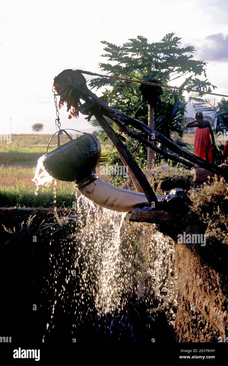 Bailing out water for agriculture purpose, Tamil Nadu, India Stock ...