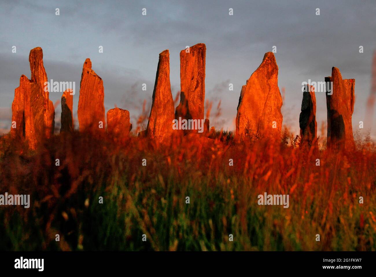 Stone Circle of Callanish, Stones of Callanish, sunrise, morning light ...