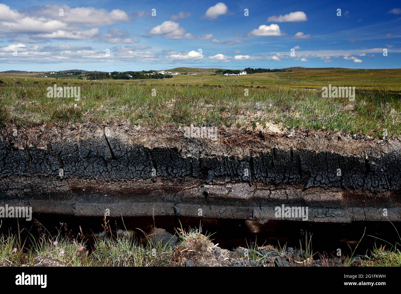 Peat bog landscape, peat cutting, peat bog, manual peat cutting ...