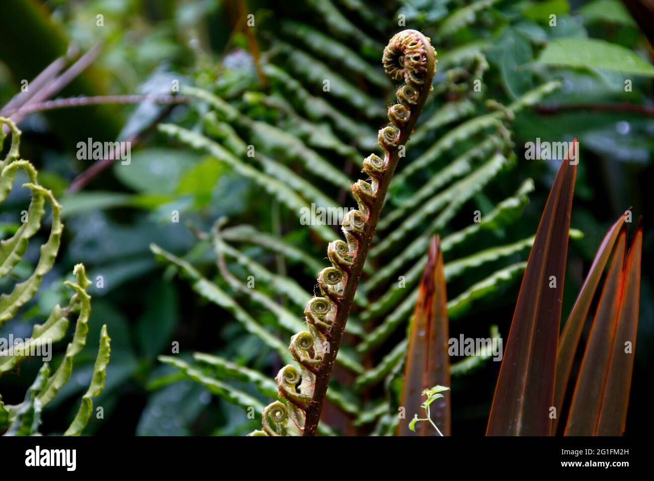 Poolewe gardens bay loch ewe hi-res stock photography and images - Alamy