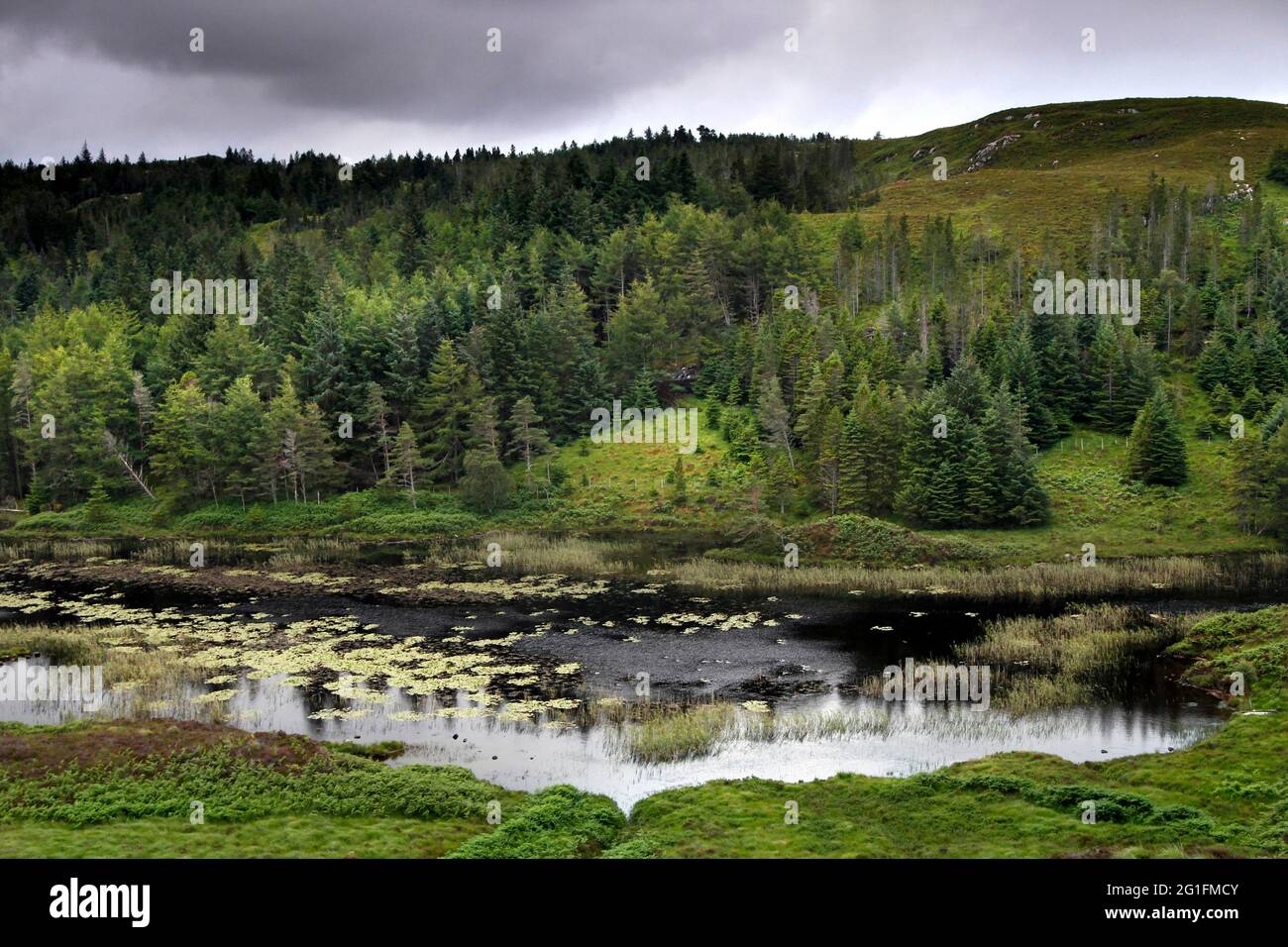 Landscape, Assynt, Northwest coast, Sutherland, Highlands, Highland ...