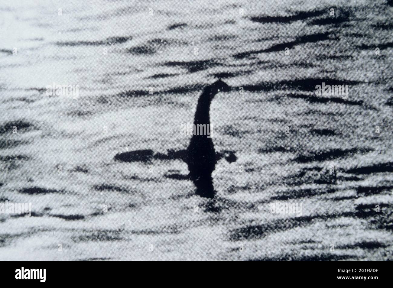 Okanagan Lake Monster