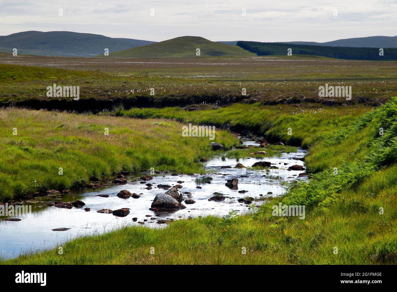 Landscape, Moor, River, Caithness, North coast, Highlands, Highland ...