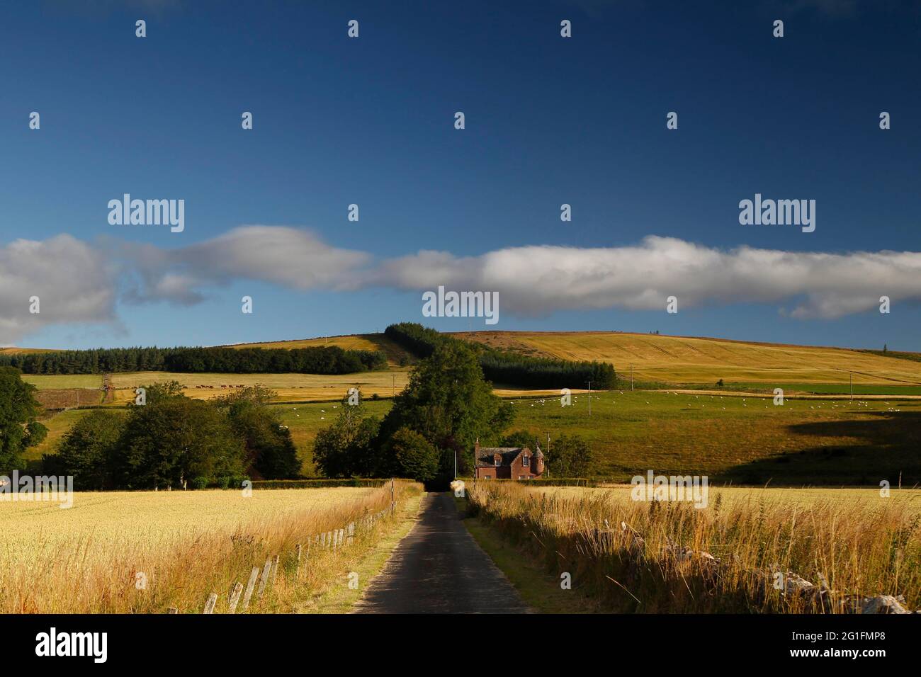 Landscape, Road, Field, Edzell, Angus, Lowlands, Scotland, Great ...