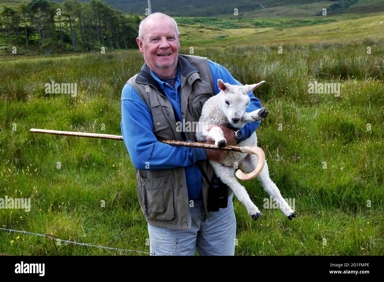 Shepherd, Sheep, Shepherd's crook, Cullin Hills, Strathaird Peninsula ...