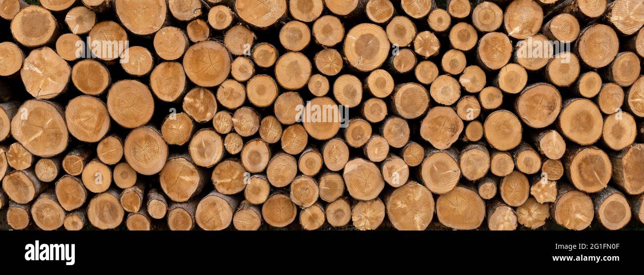 Woodpile stack log pile lumber timber hi-res stock photography and ...