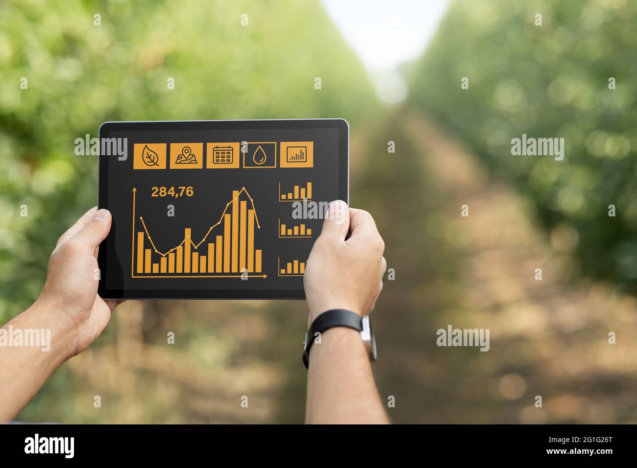 Male hands holding digital tablet over gadren background, collage Stock ...