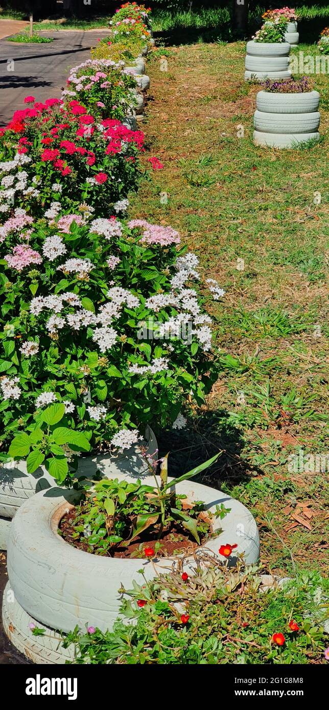 Colorful Flower Garden Made from Recyclable Materials. Simple lifestyle ...