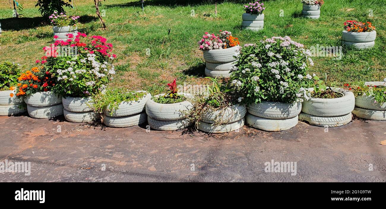 Colorful Flower Garden Made from Recyclable Materials. Simple lifestyle ...