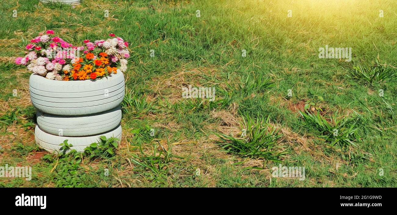 Colorful Flower Garden Made from Recyclable Materials. Simple lifestyle ...
