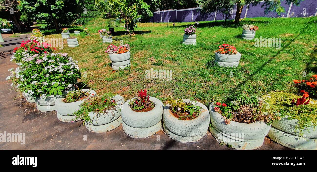 Colorful Flower Garden Made from Recyclable Materials. Simple lifestyle ...