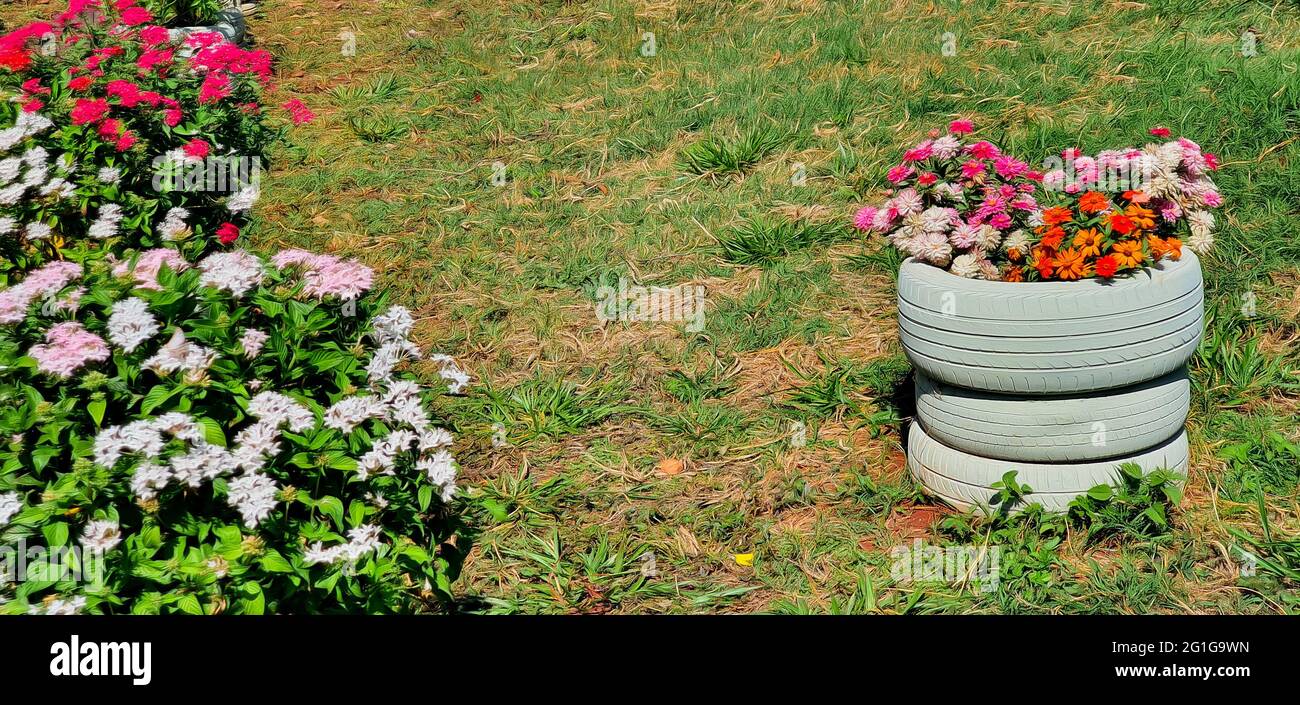 Colorful Flower Garden Made from Recyclable Materials. Simple lifestyle ...