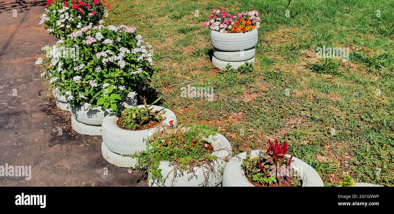 Colorful Flower Garden Made from Recyclable Materials. Simple lifestyle ...
