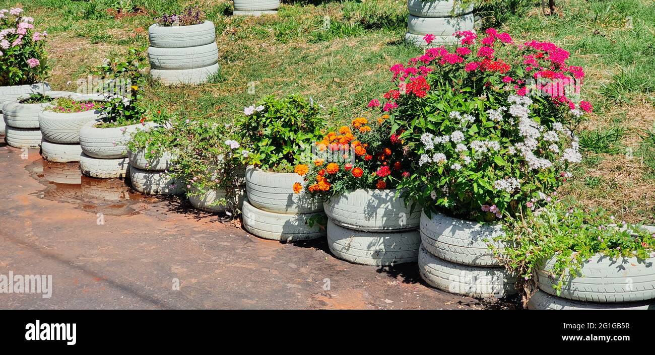 Colorful Flower Garden Made from Recyclable Materials. Simple lifestyle ...