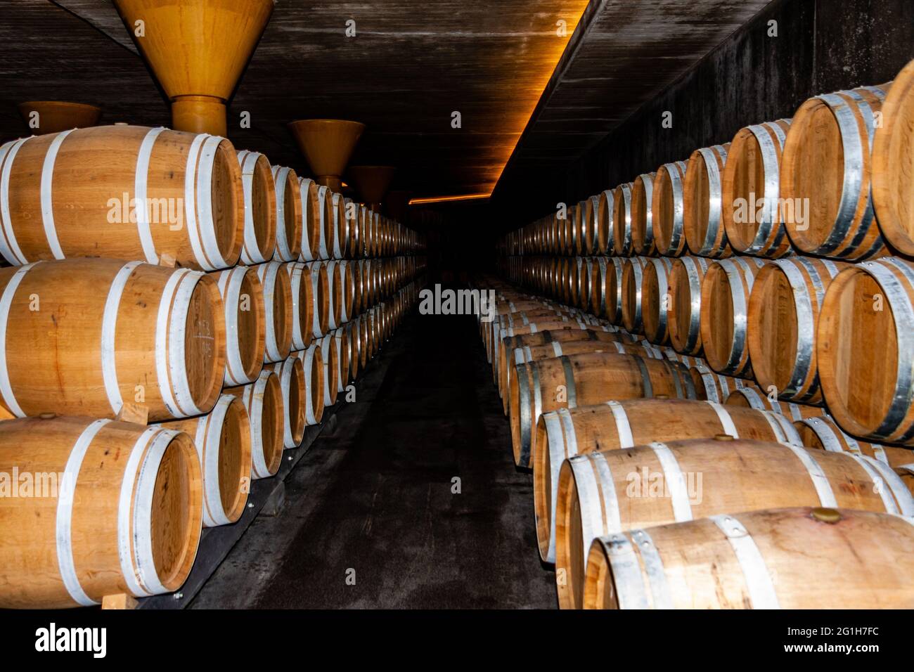Set of oak wine barrels in cellar arranged in rows or columns stacked ...