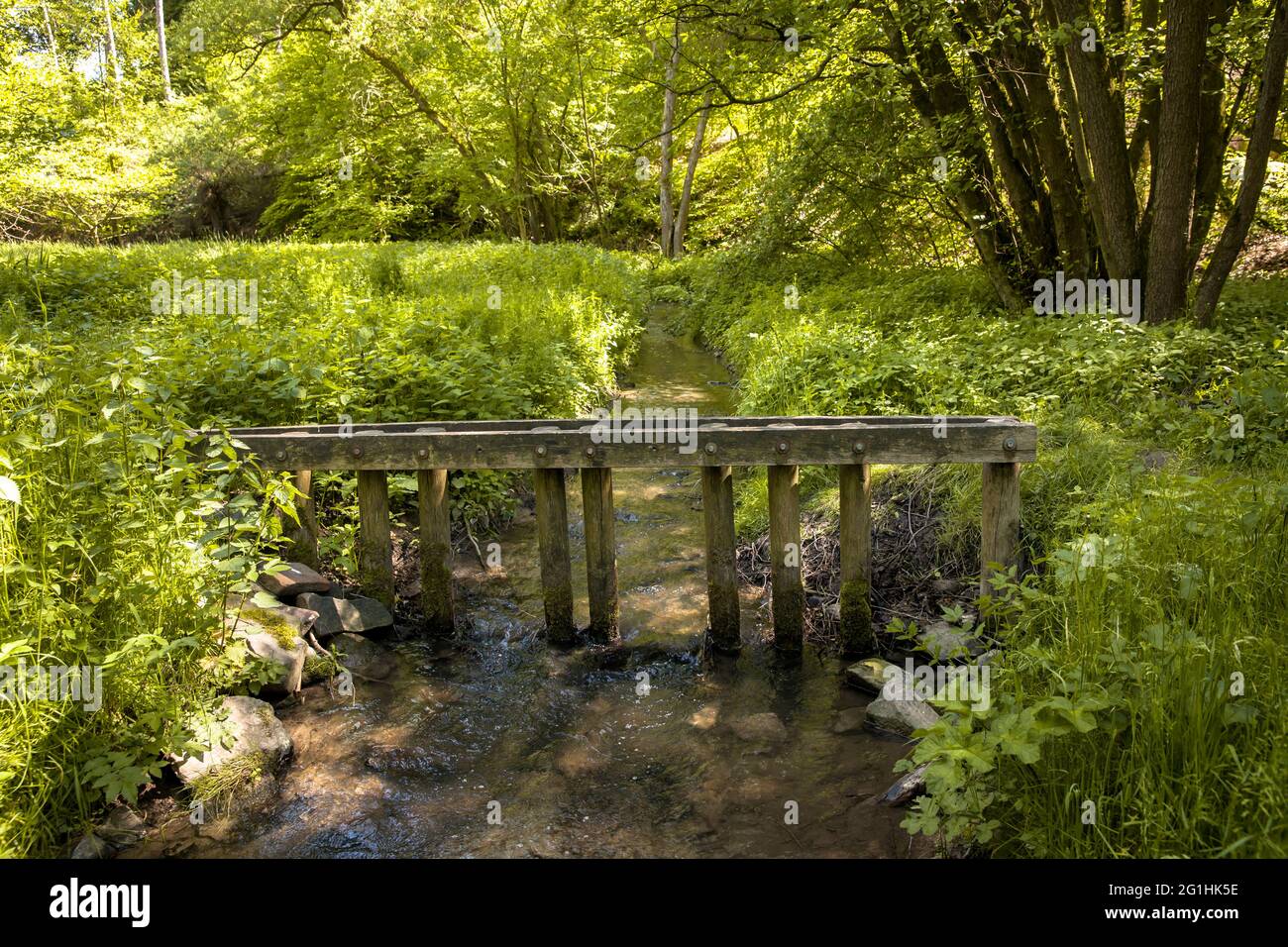 Muttenbach hi-res stock photography and images - Alamy