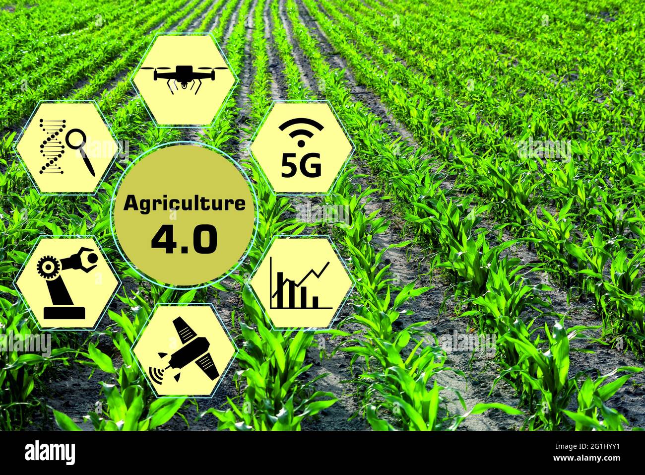 Agricultural production using renewable energy and digital technology ...