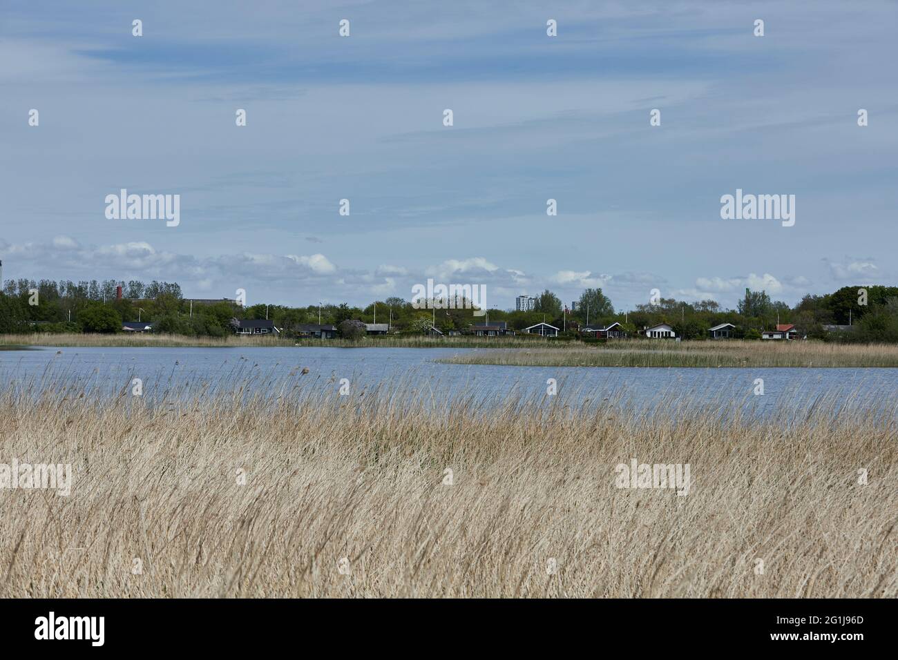 blue water on the beach in summer in denmark Stock Photo - Alamy