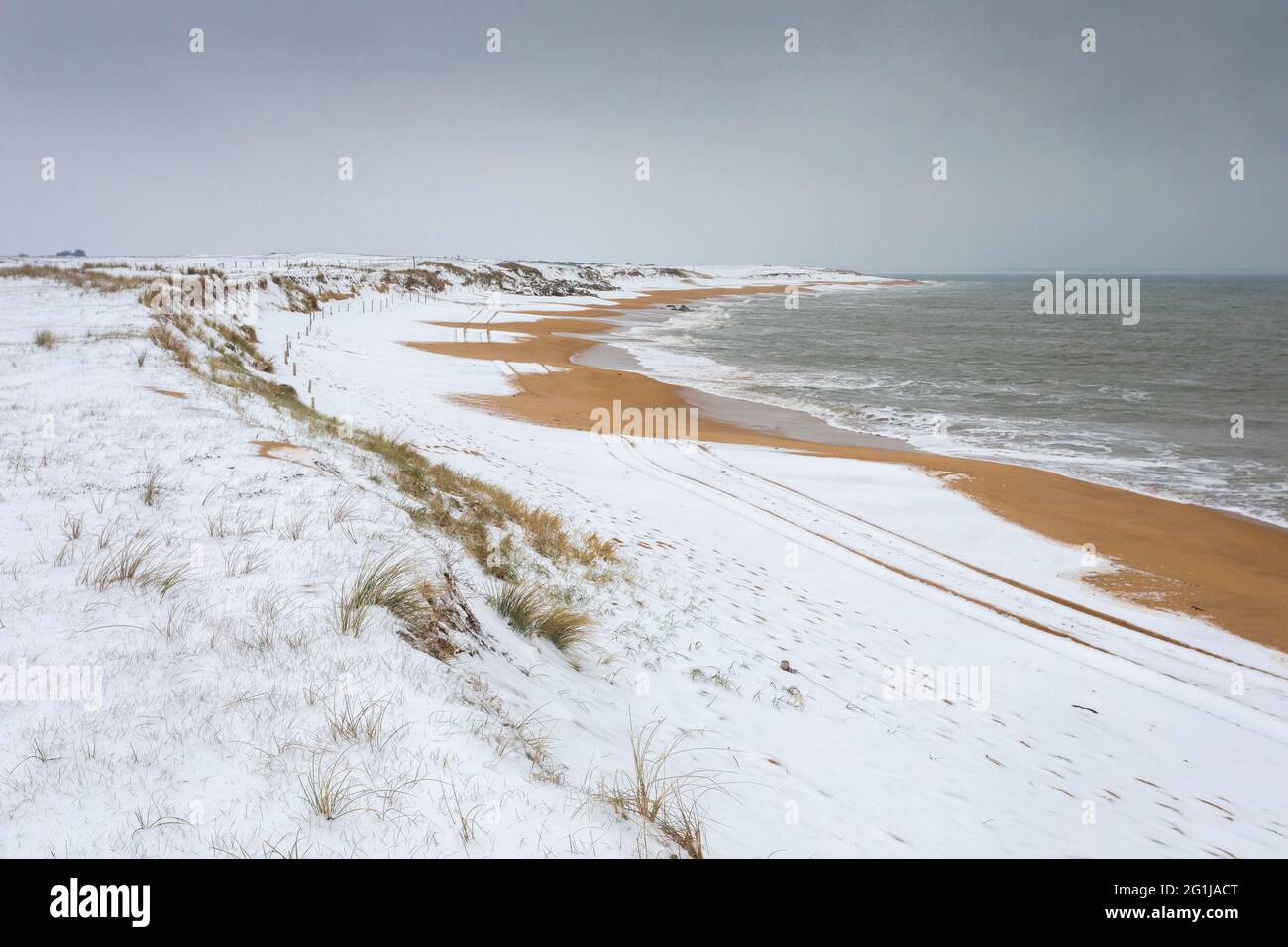 Winter Beach Snow