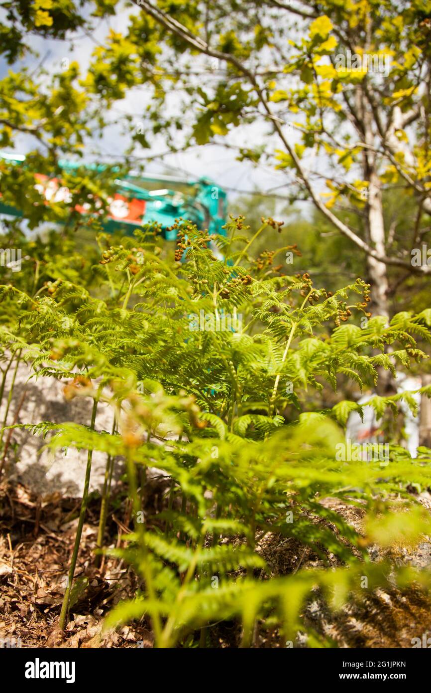 Eden Project Botanical garden in Bodelva, Cornwall, UK, May 2021 Stock ...
