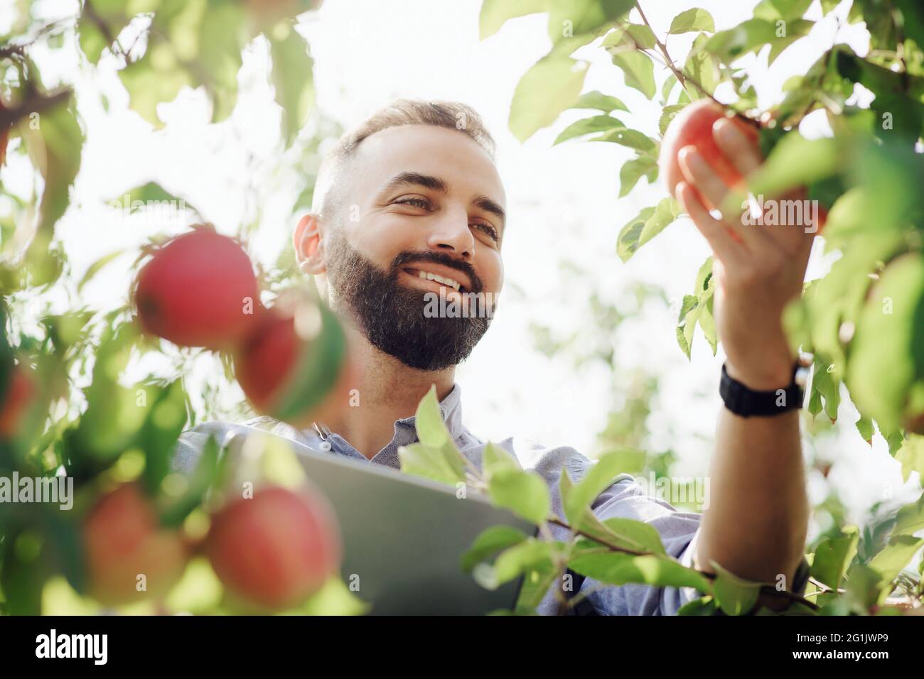 Big Harvest High Resolution Stock Photography and Images - Alamy