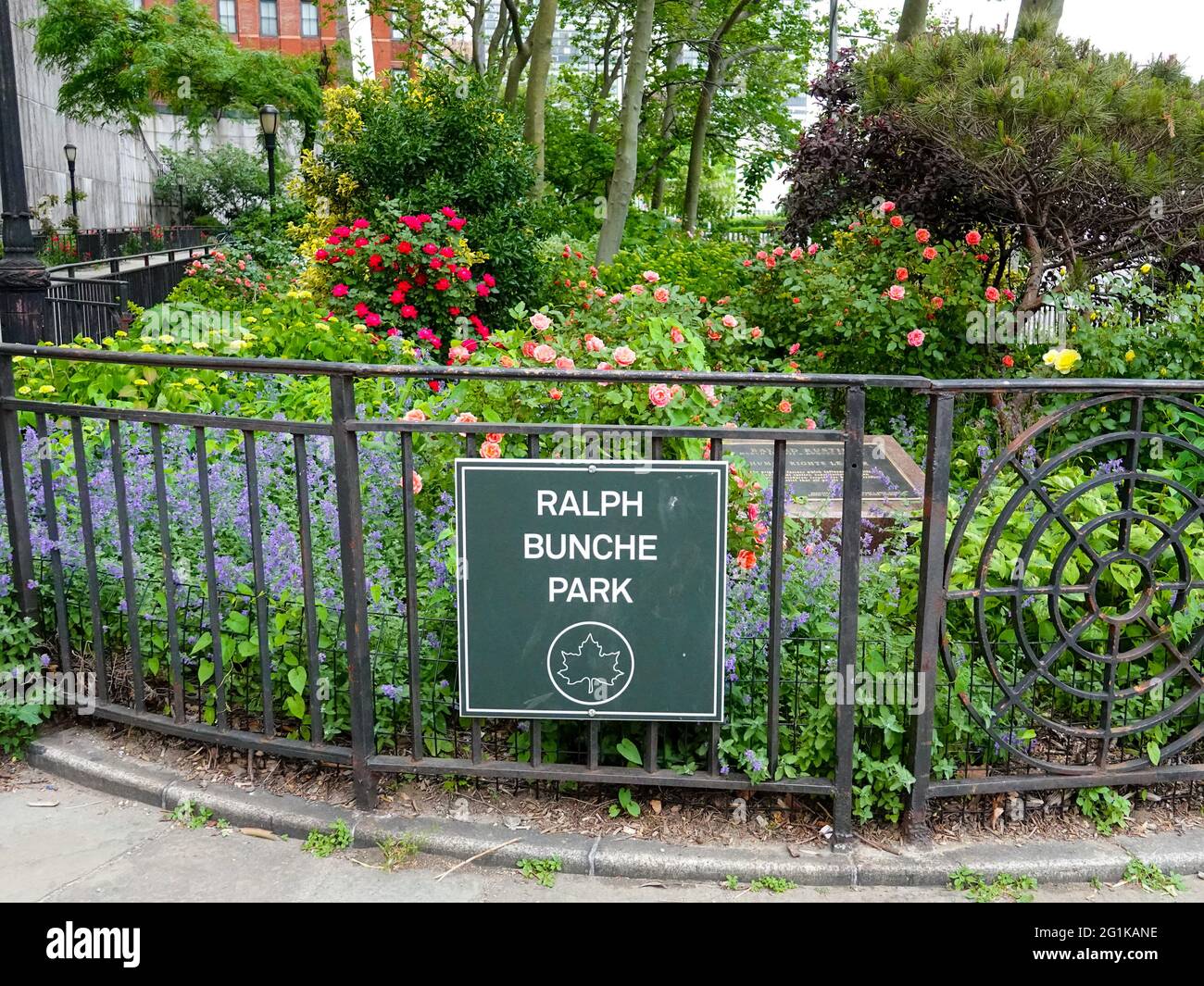 Rose garden at Ralph Bunche Park, NYC’s first peace park, named in honor of Ralph Bunche, first ...