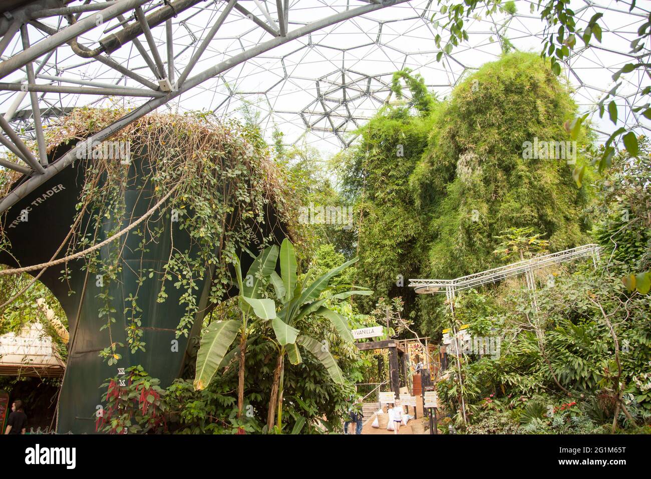 The Eden Project Rainforest Biome Cornwall UK, May 2021 Stock Photo - Alamy