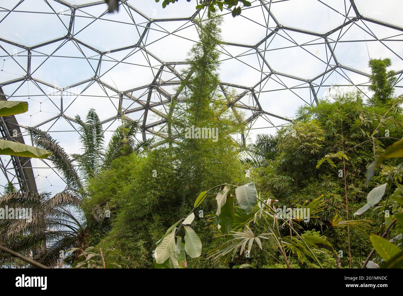 The Eden Project Rainforest Biome Cornwall UK, May 2021 Stock Photo - Alamy