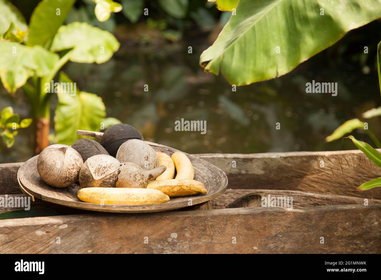 bowl of fake fruit on display at The Eden Project Rainforest Biome ...