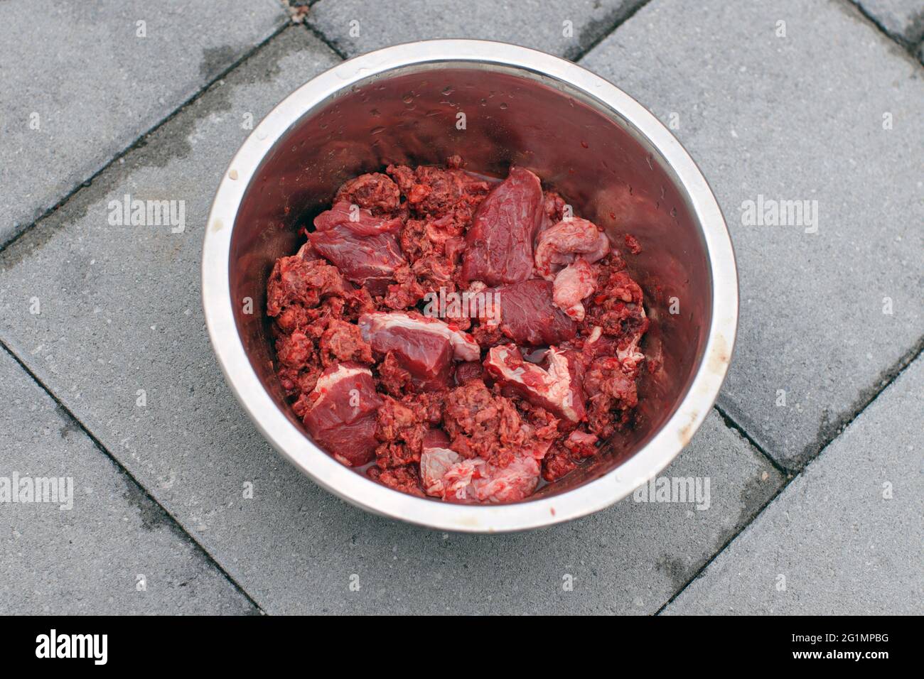 Can I Feed My Puppy Raw Steak