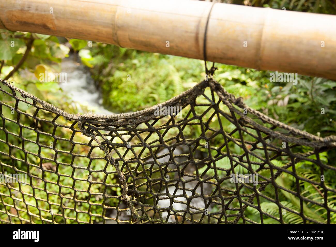 Rope netting on jungle bridge at The Eden Project Rainforest Biome ...