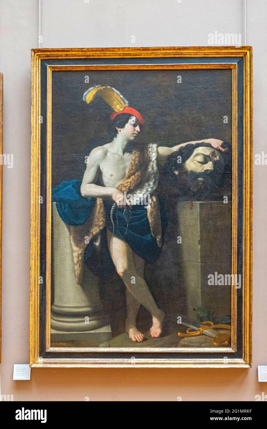 Guido Chess King Clothes